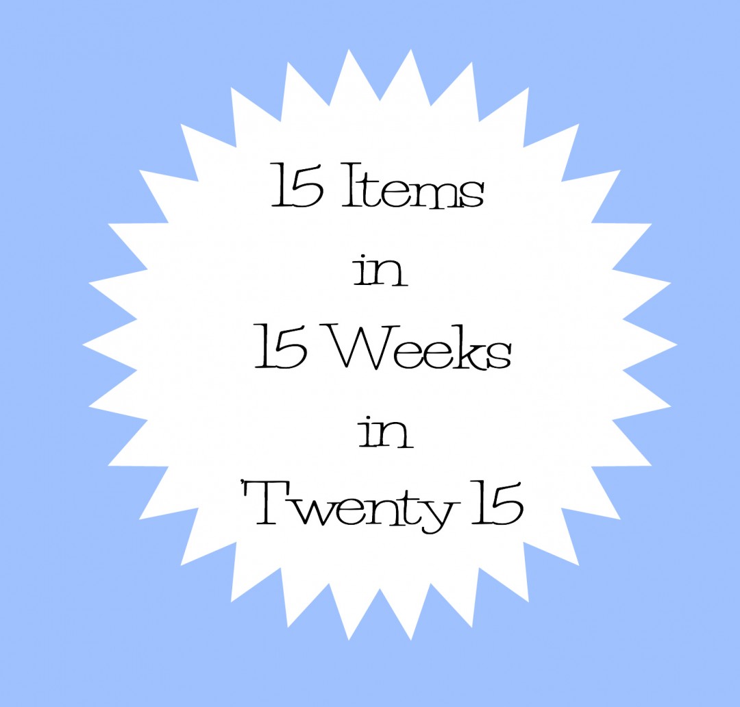 Week 2 of the 15 in 15 in '15 Challenge: Plastic Containers and ...